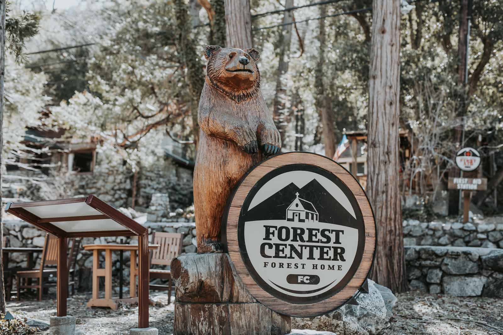Forest Center